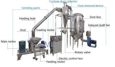 Cina Mini R.P.M efficiente dei Pulverizer 2000 - 6000 della polvere della smerigliatrice della spezia asciutta della macchina in vendita