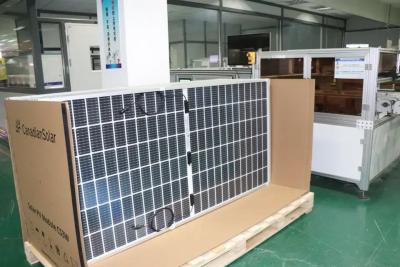 Cina 685W-715W N-type Bifacial TOPCon Technology pannello monocristallino a doppio vetro di CanadianSolar in vendita