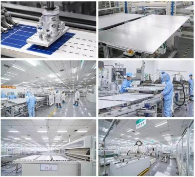 Cina Dimensioni del pannello 2384x1303x33mm N Modulo di silicio monocristallino TSM-NEG21C.20 in vendita