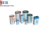 China ER17450 Primary LiSOCl2 Battery 3.6V 2900mAh Not Rechargeable Lithium Thionyl Chloride for sale