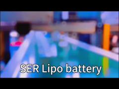 OEM 3.7V 7.4V 11.1 Volt Li Ion Polymer Battery 1200mAh Lipo Cell 803442