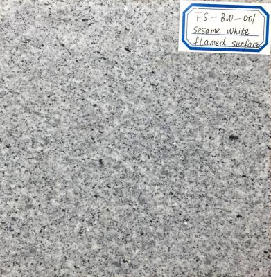 China Fengshuo classical sesame white granite tile and granite slab for sale