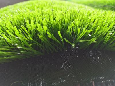 Cina PP+PE Garden Lawn Artificial Grass Cover Weather Stability Artificial Grass Mat in vendita