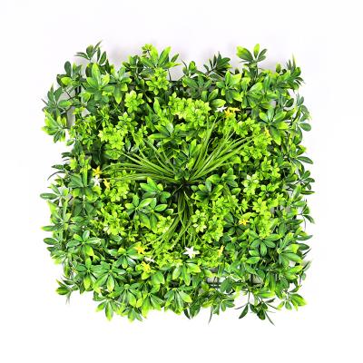 Cina 50*50High Quality Plastic Artificial Grass Wall Indoor Decoration Outdoor Wall Decoration Garden Layout in vendita