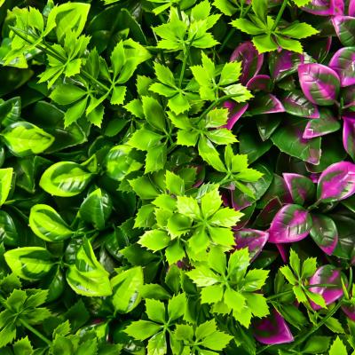 Cina Hot Sale China Manufacture Quality Artificial Green Moss Pflanzenwand Plant Wall Artificial Moss Plant Wall in vendita