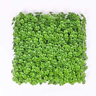Cina China Design Wholesale Boxwood Panels Hedge Artificial Plant Grass Wall Artificial Plant Blanket Wall in vendita