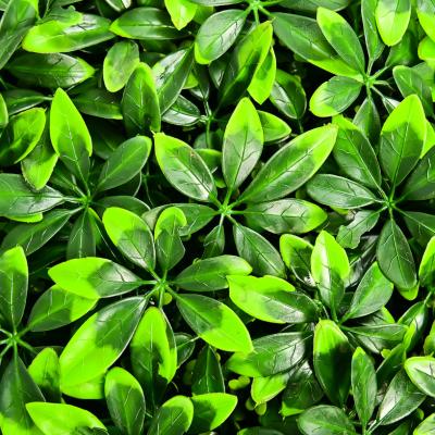 Cina Sell High-Quality Good Price Vertical 3d Artificial Plants Grass Wall Panel Plant Artificial Walls in vendita