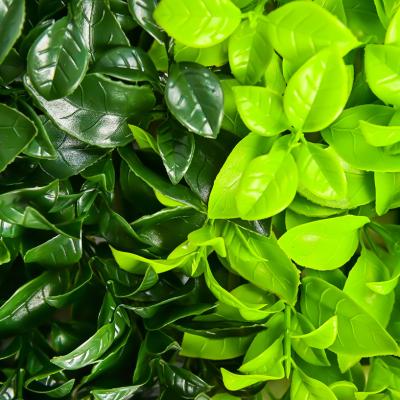 Cina China Manufacturer Factory Price Uv Artificial Plant Moss Vine Wall Artificial Plants Hanging Plant Wall in vendita