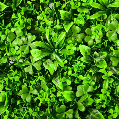 Cina Oem Manufacture Supplier Of Artificial Moss Plant Wall Artificial Plants Grass Wall Panel in vendita