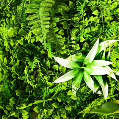 Cina Good Quality Affordable Wholesale Customized Artificial Wall Plants Panel Vertical Garden Green in vendita
