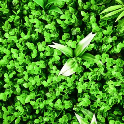 Cina Durable Artificial Plants Wall Flowers Hanging Wall Panel Ornaments in vendita