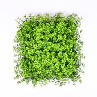 China Flower Decorative Artificial Plants Wall With Artificial Grass Hedge Backdrop for sale