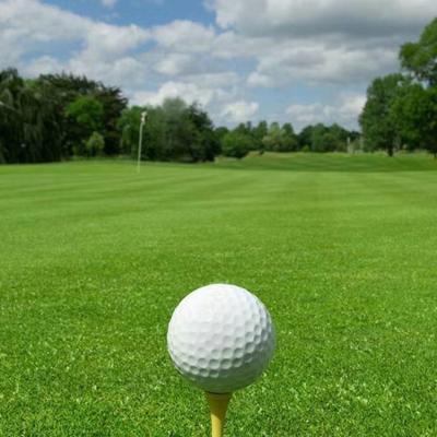 Cina China Manufacturer Direct Sale Green Garden Lawn Synthetic Turf Carpet Grass Artificial Turf Lawn Used For Garden in vendita