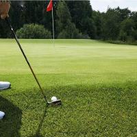 China Multi Use Artificial Golf Grass Hitting Mats Practice Golf Putting Green Turf for sale