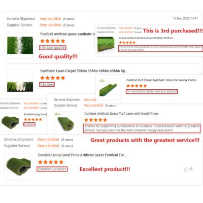 Cina Garden Outdoor Artificial Grass Unfilled Football Sports Flooring Turf 20mm in vendita