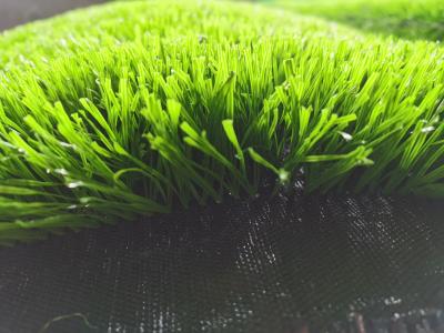 Cina Weather Fastness Artificial Grass Lawn Garden Grass Rug Artificial Grass Carpet in vendita