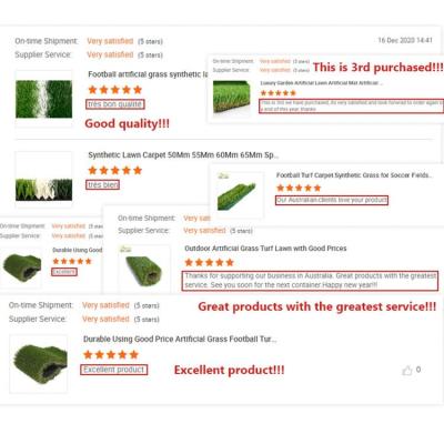 Cina Artificial Grass Low Price High Quality Artificial Carpet Grass Mat Turf Artificial Turf 30mm Artificial Grass in vendita