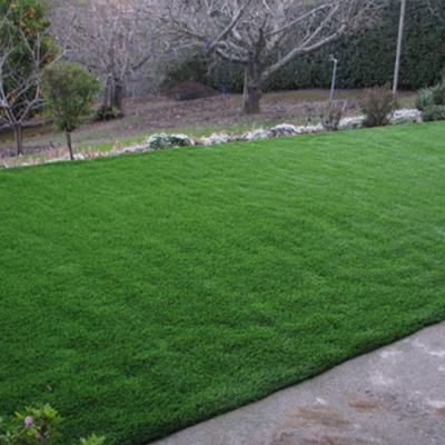 Cina China Factory Good Quality Grass Artificial Carpet Fireproof Plastic Artificial Grass And Sports Floors in vendita