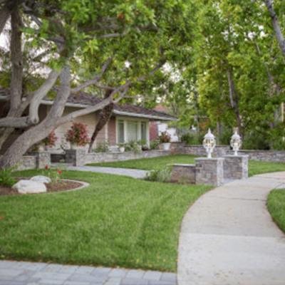 Cina Professional Manufacture Promotion Price Artificial Grass Roof Eco-Friendly Artificial Synthetic Grass For Landscape in vendita