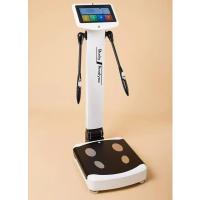 China 3D Smart Body Analyzer Composition Bioimpedance Analyzer Balance for sale