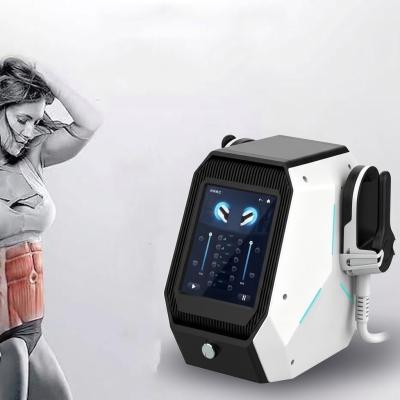 China Two Handles Desktop Emslim Machine Fat Loss Body Shaping slim beauty machine for sale