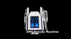 Desktop EMS And Roller Slimming Beauty Device