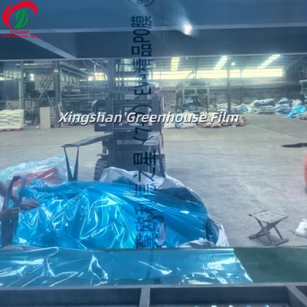 Quality Greenhouse Anti Drip EVA Plastic Film For Farm Cultivation for sale