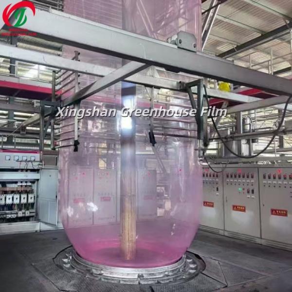 Quality High Transmittance Greenhouse EVA Agriculture Plastic Film For Cold Climates for sale