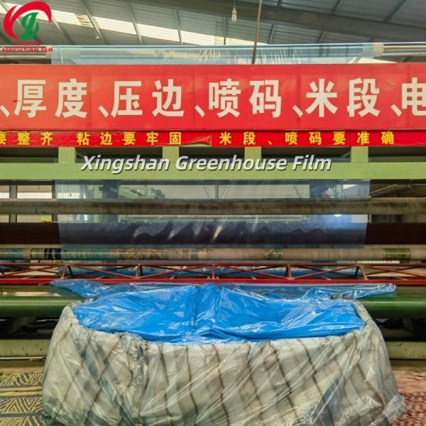 Quality EVA Greenhouse Film Long Lasting Anti Fog Plastic Cover For Farming for sale