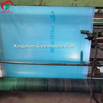 China Clear Agricultural Polyethylene Film PE Cover For Greenhouse Vegetable Production for sale