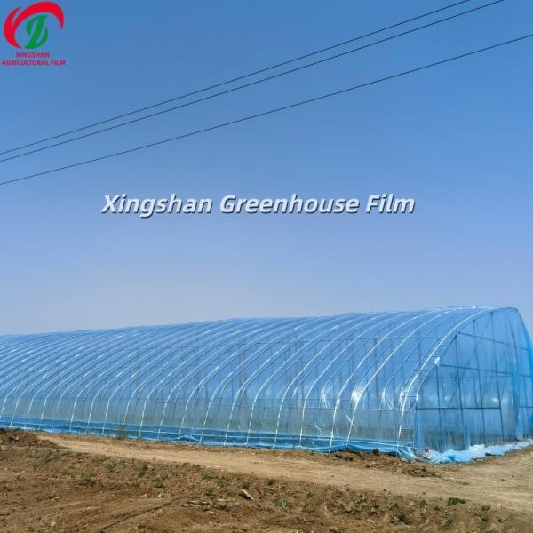 Quality 5 Layer Co Extrusion PO Greenhouse Film For Commercial Farming for sale