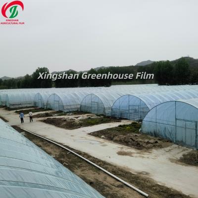 China 100 Micron PO Polyolefin Film UV Stabilized Agricultural Greenhouse Plastic Cover for sale
