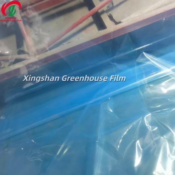 Quality Anti Fogging Anti Drip PO Greenhouse Cover Film Cold Resistant for sale