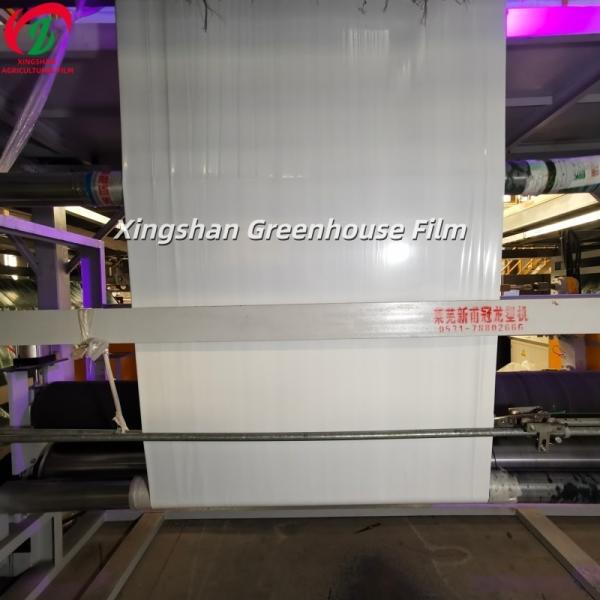 Quality Agricultural Flame Retardant Film Greenhouse Fire Retardant Plastic Film Customized for sale