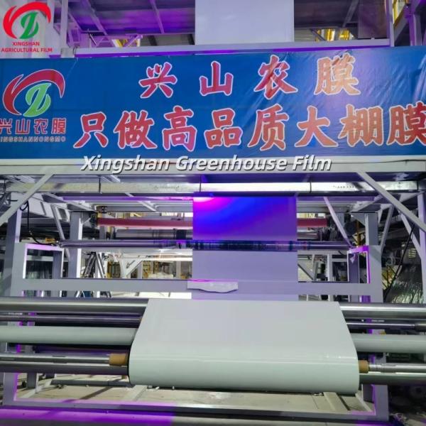 Quality Flame Retardant Anti UV PE Greenhouse Plastic Film For Crop Cultivation for sale