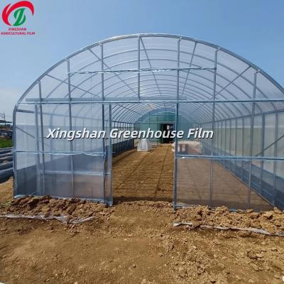 China High-Performance Polyolefin Greenhouse Film for Modern Agriculture for sale