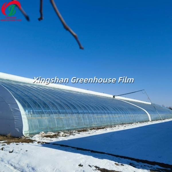 Quality Agricultural Polyolefin Greenhouse Film 0.06mm - 0.18mm Thickness for sale