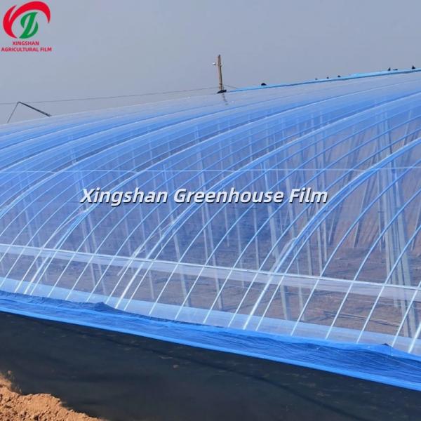 Quality High Light Transmission Polyolefin Film Transparent Greenhouse PO Plastic Film for sale