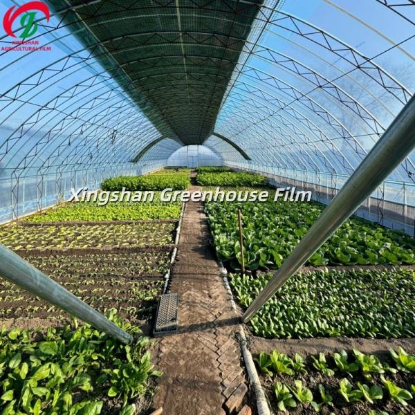 Quality 80 - 250μm Thickness EVA Plastic Film Thermal Insulation Agricultural Greenhouse Film for sale