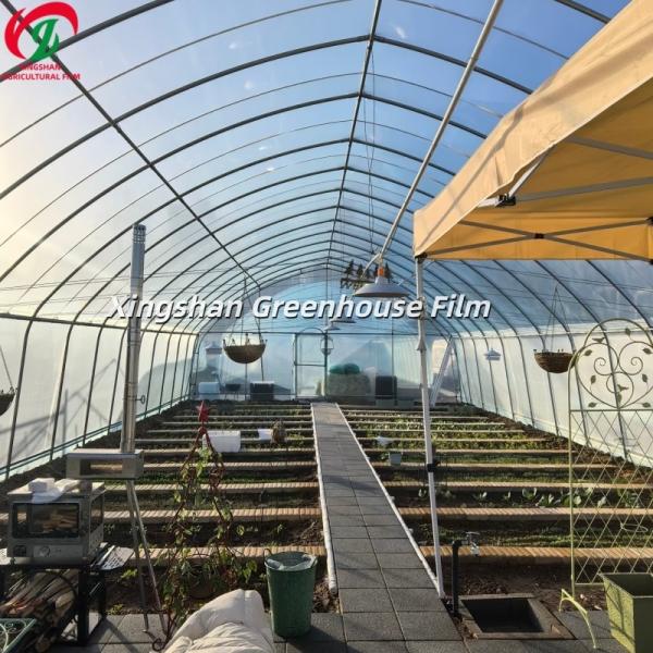 Quality Thermal Insulation Agriculture EVA Plastic Film Greenhouse Shade Cover Film for sale