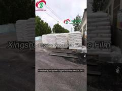 eva greenhouse film long lasting anti fog plastic cover for farming