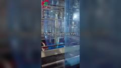 Production Showcase of High-Transparency, High-End PO Greenhouse Film