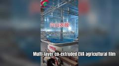 High-end multi-layer co-extruded EVA agricultural film production