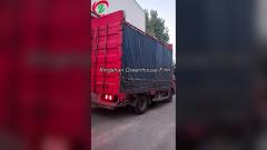 PE greenhouse film raw material display