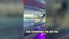 Seven-layer co-extruded double-conversion PO greenhouse film