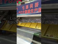 UV Resistant Polyolefin Greenhouse Plastic Film