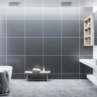 China What is the Purpose of Seal Grout for Tiles? for sale