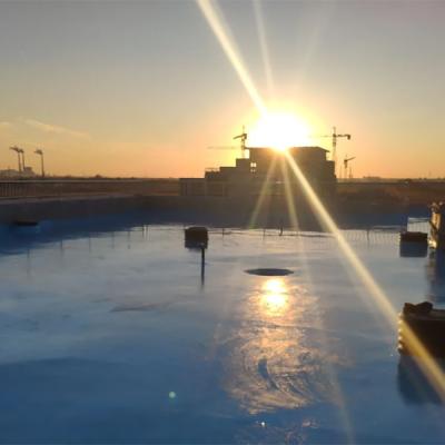 China Superiority of Polyurea Waterproofing for sale