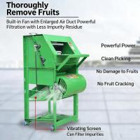 China Automatic Peanut Picker 300-500kg/h Dual-Stage Cleaning High-Strength Iron Construction for sale