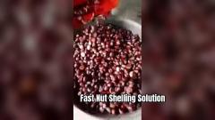 Chestnut Sheller High Efficiency Nut Peeling